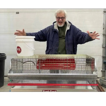 Quail Cages made with durability and the comfort of your quail in mind ...