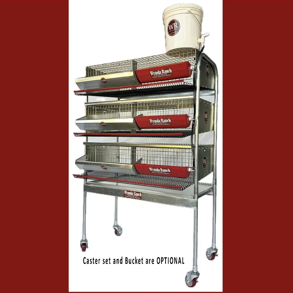 Quail Cages made with durability and the comfort of your quail in mind ...