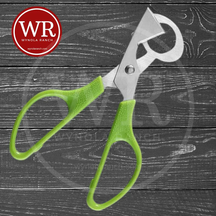 Quail Egg Scissors - 1 x Stainless - Wynola Ranch - Quail Cage